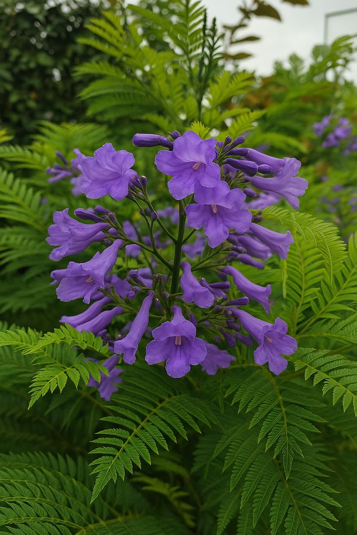 Plant 360 Nursery | Fresh Plants & Services